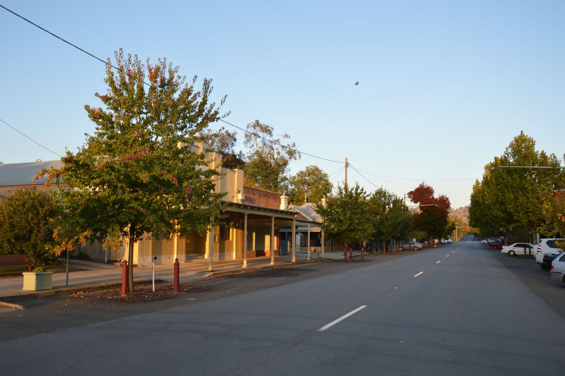 Visit Adelong - Snowy Valleys | Snowy Valleys Travel Information