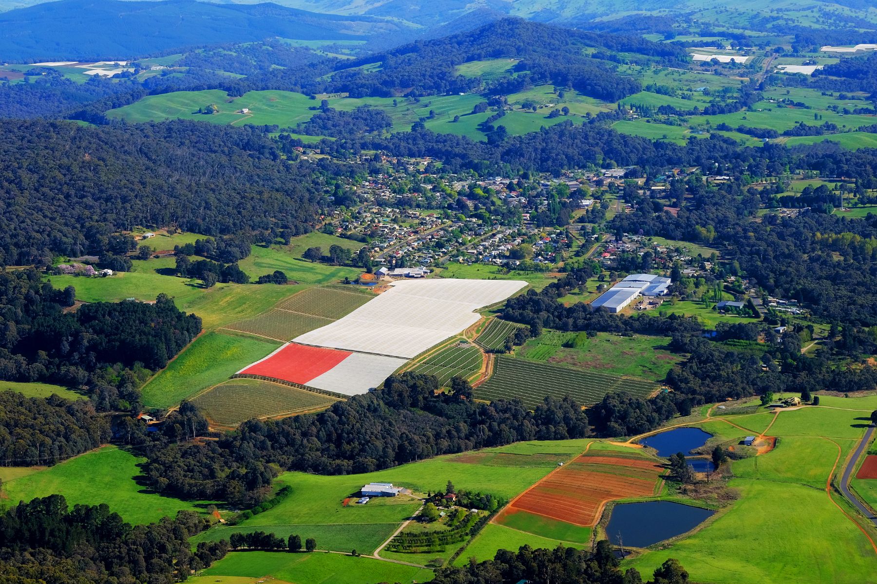 Batlow | Snowy Valleys Tourism Information