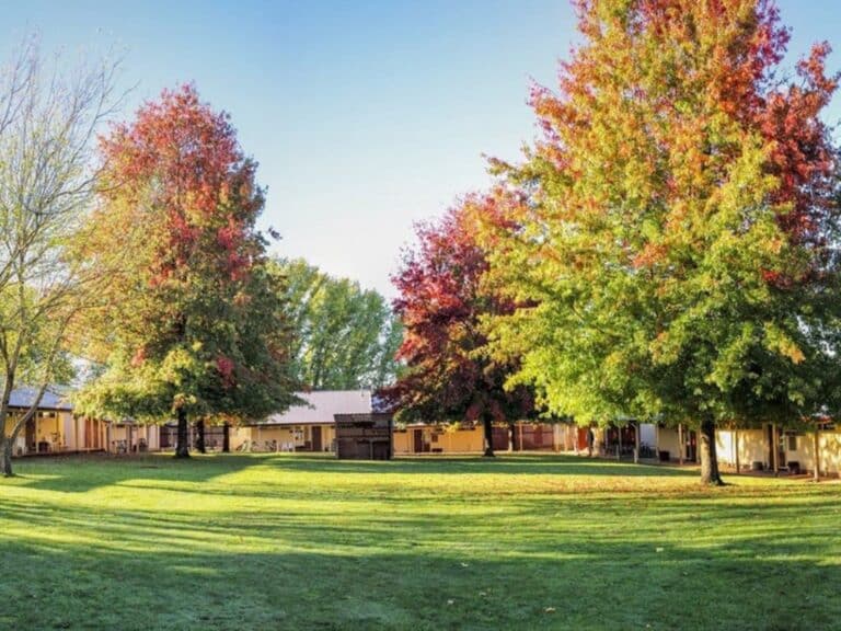 Visit Laurel Hill | Snowy Valleys Travel Information